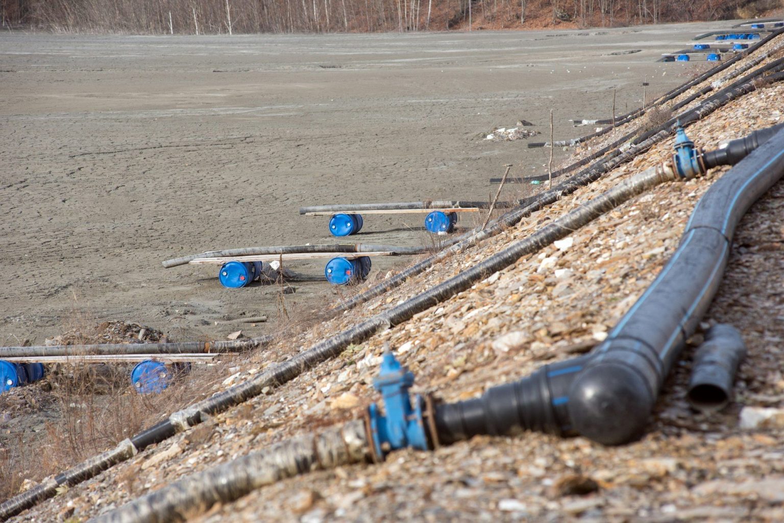 inlandflowers – Inlandflowers: Your British home in bloom ...